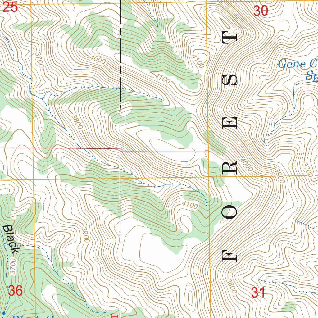 King Mountain, MT FSTopo Legacy Map by US Forest Service - Topo ...