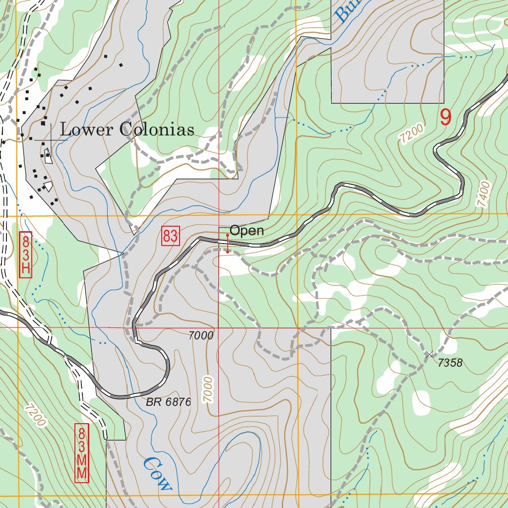 Lower Colonias, NM FSTopo Legacy Map by US Forest Service - Topo ...