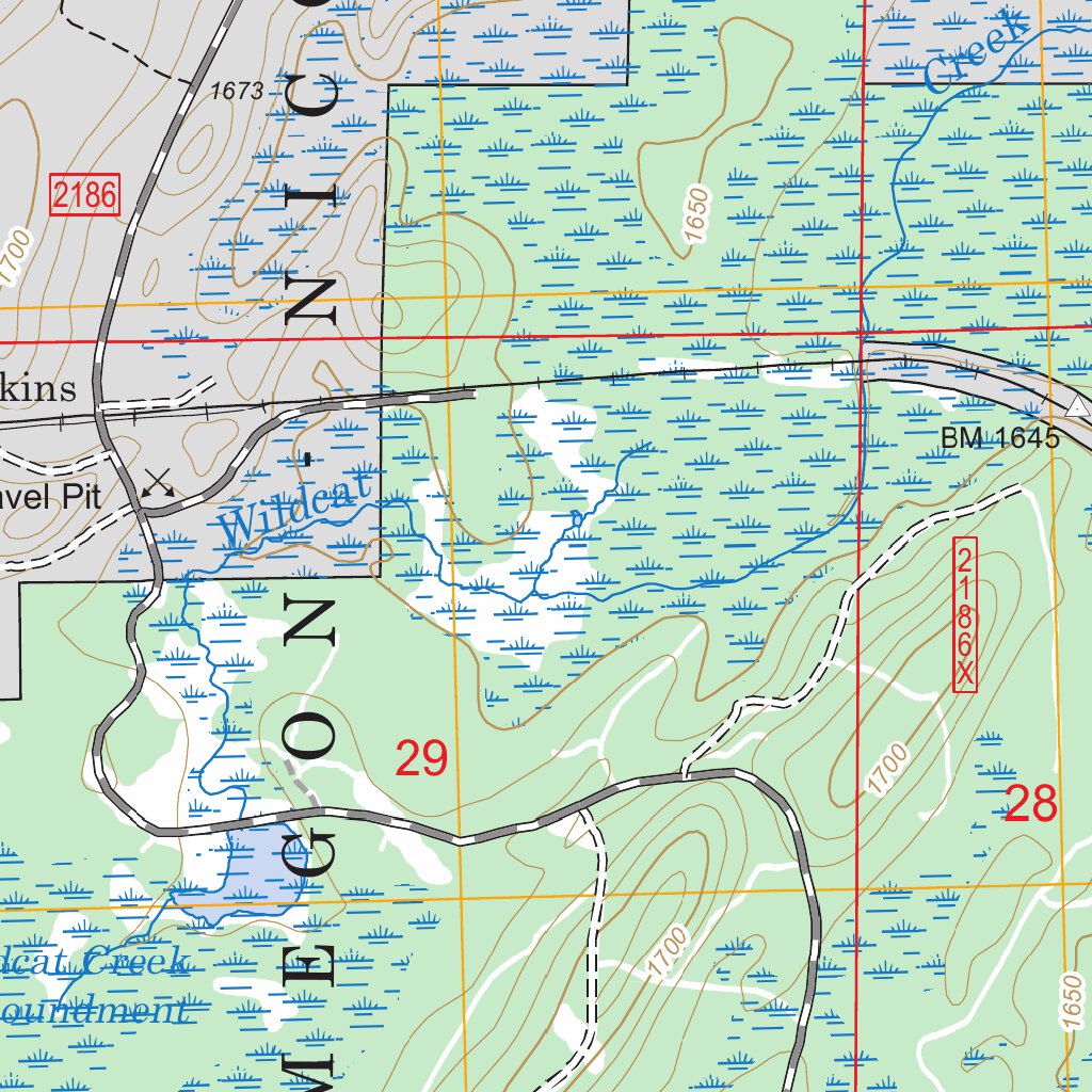 Monico NE, WI FSTopo Legacy Map by US Forest Service - Topo | Avenza Maps