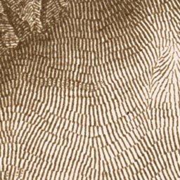 Priene (Prien), ancient site plan, 1914 Map by Waldin | Avenza Maps