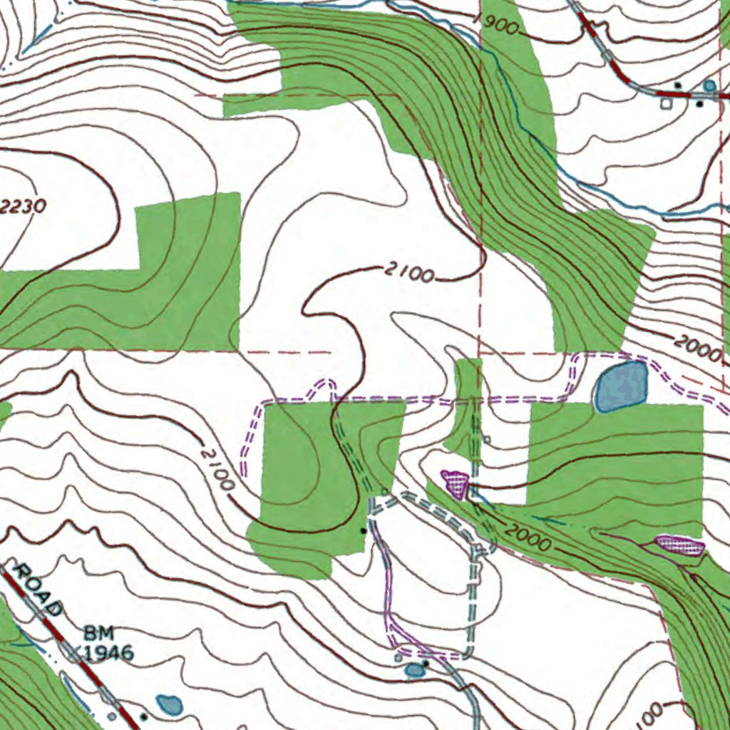 NY-Belmont: Authoritative US Topos 1965 Map by Western Michigan ...