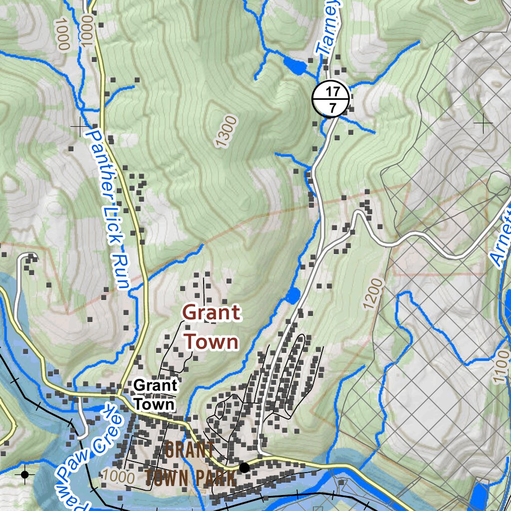 Grant Town Quad Topo - WVDNR Map by WV Division of Natural Resources ...