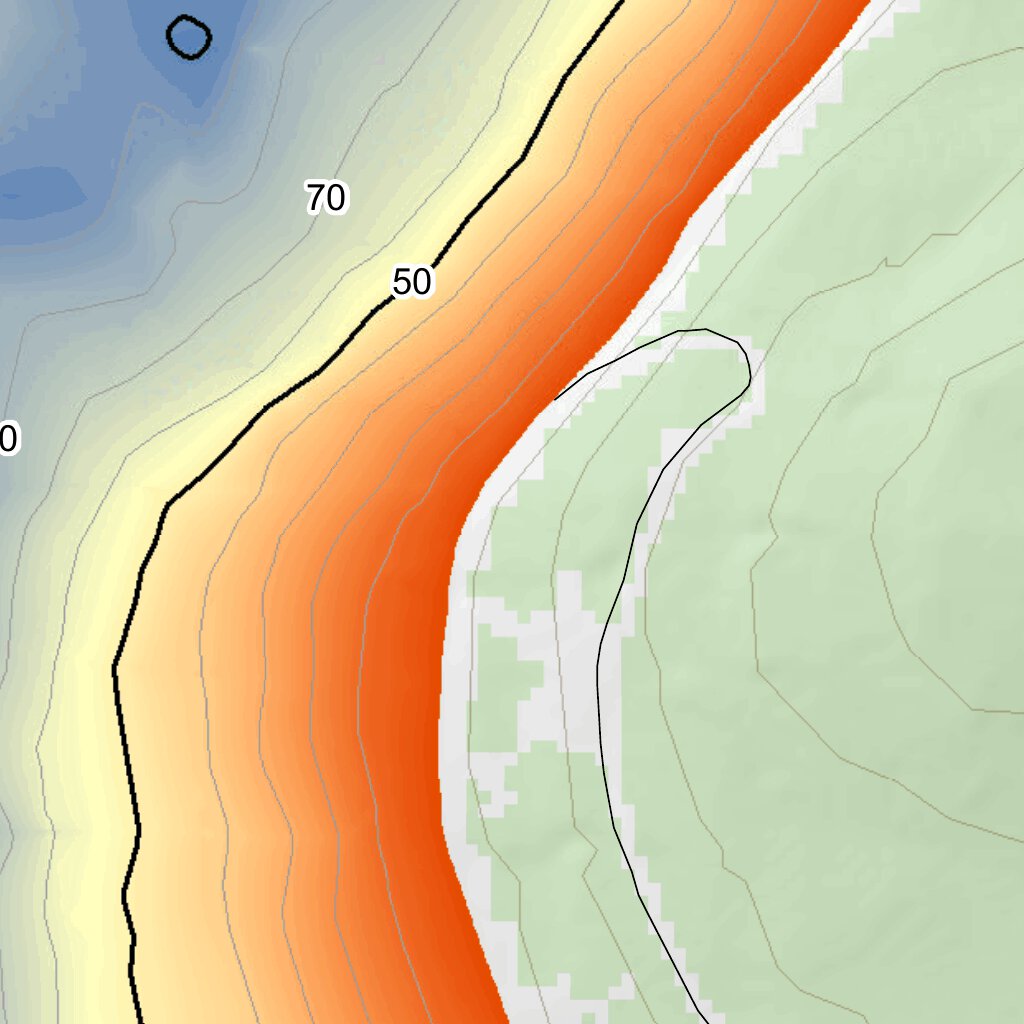 Mount Storm Lake Fishing Guide (Large) Map by WV Division of Natural ...