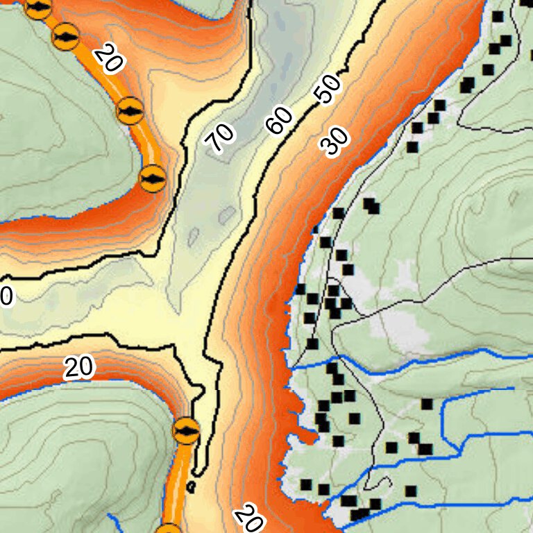 Mount Storm Lake Fishing Guide (Small) Map by WV Division of Natural ...