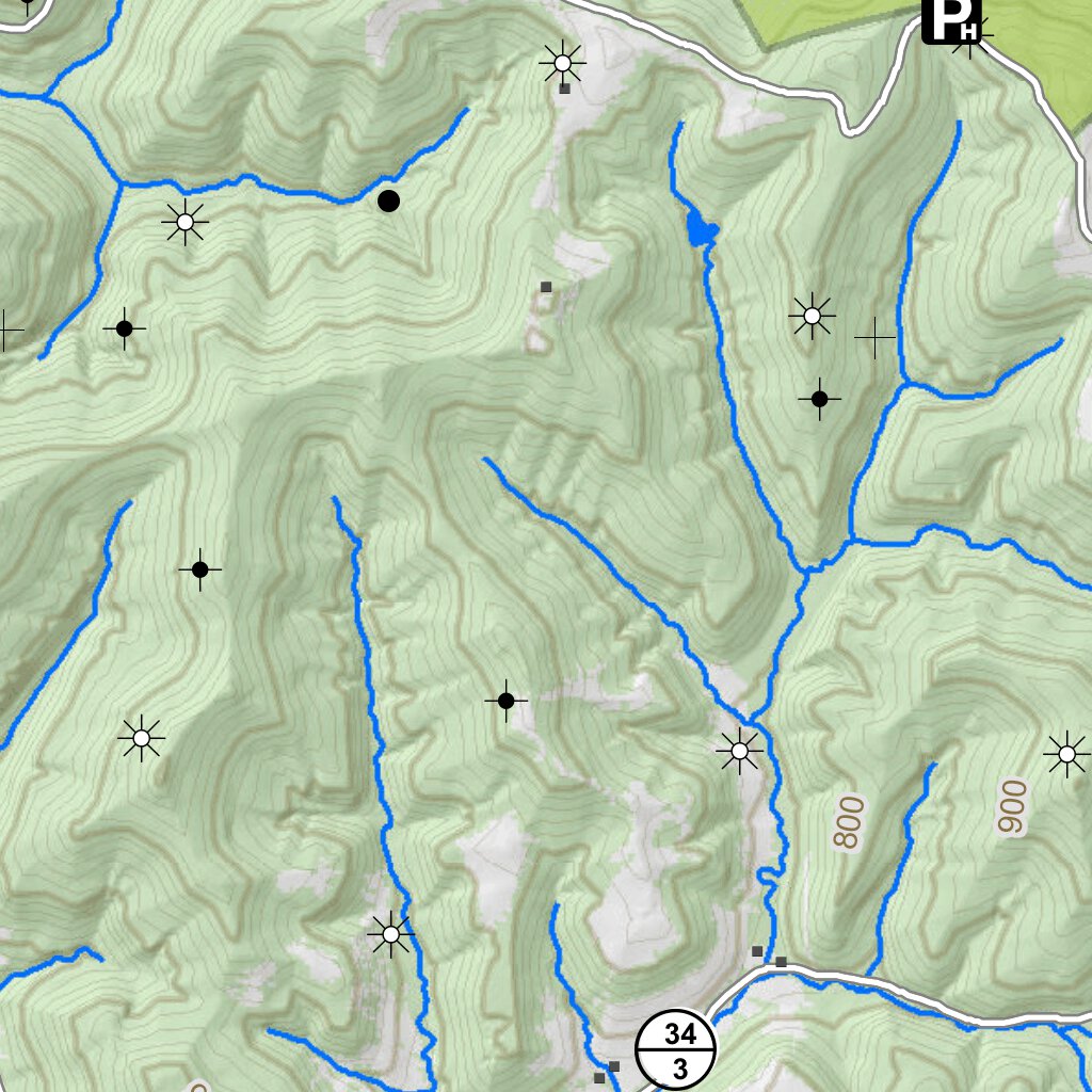 Ripley Quad Topo - WVDNR Map by WV Division of Natural Resources ...