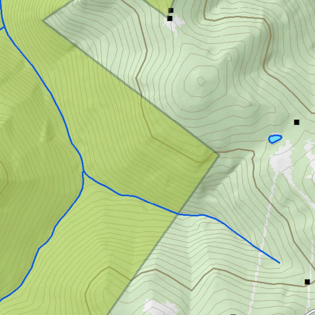 Sutton Lake Fishing Guide (Large) Map by WV Division of Natural ...