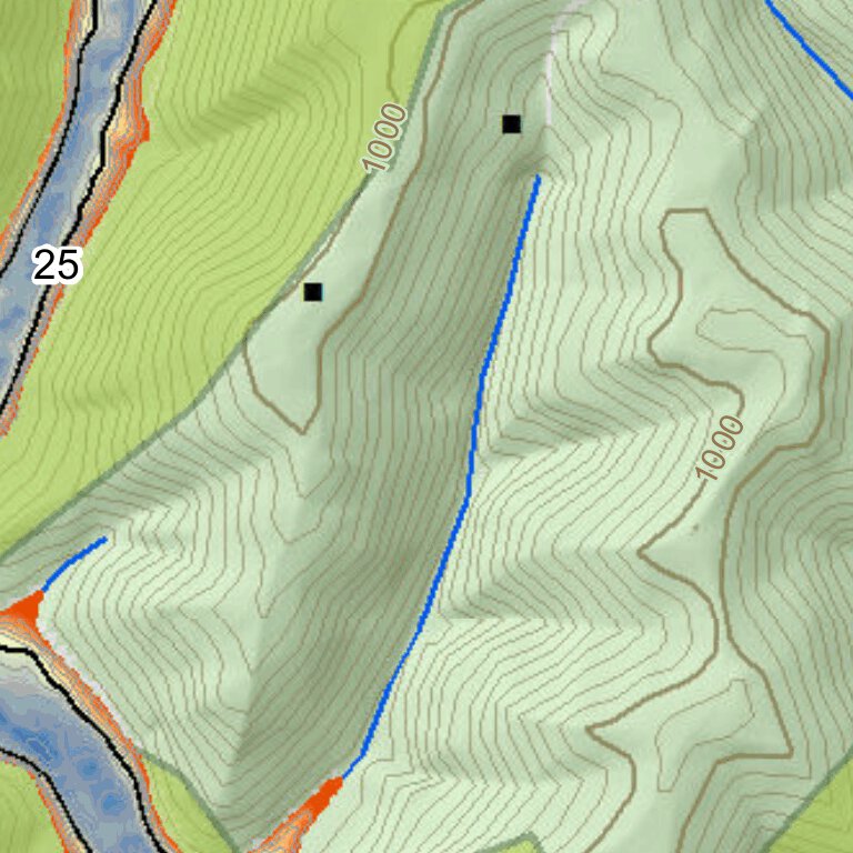 Woodrum Lake Fishing Guide (Small) Map by WV Division of Natural ...