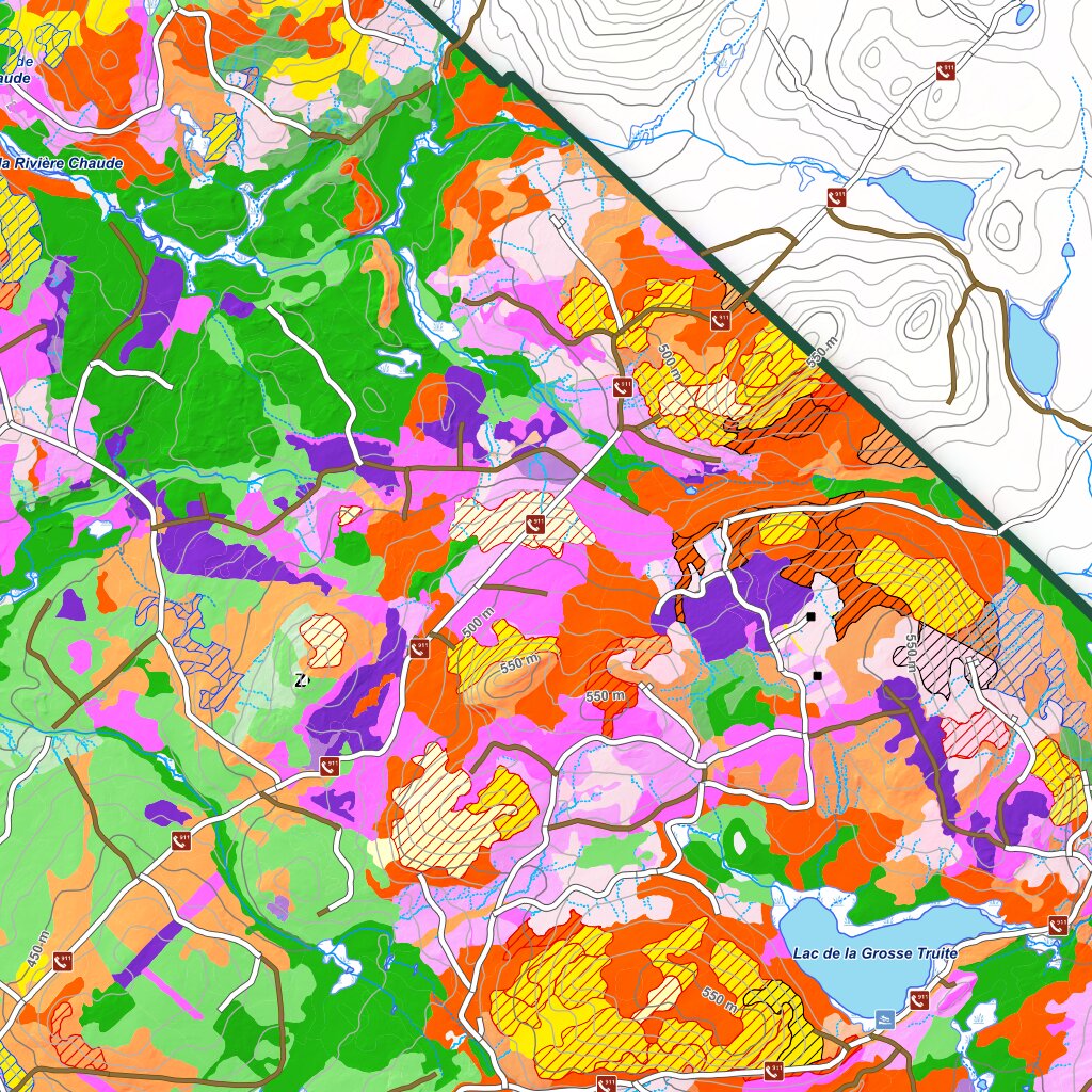iFaune - Orignal et ours noir - Zec Chapais (2025) Map by Zecs Quebec ...