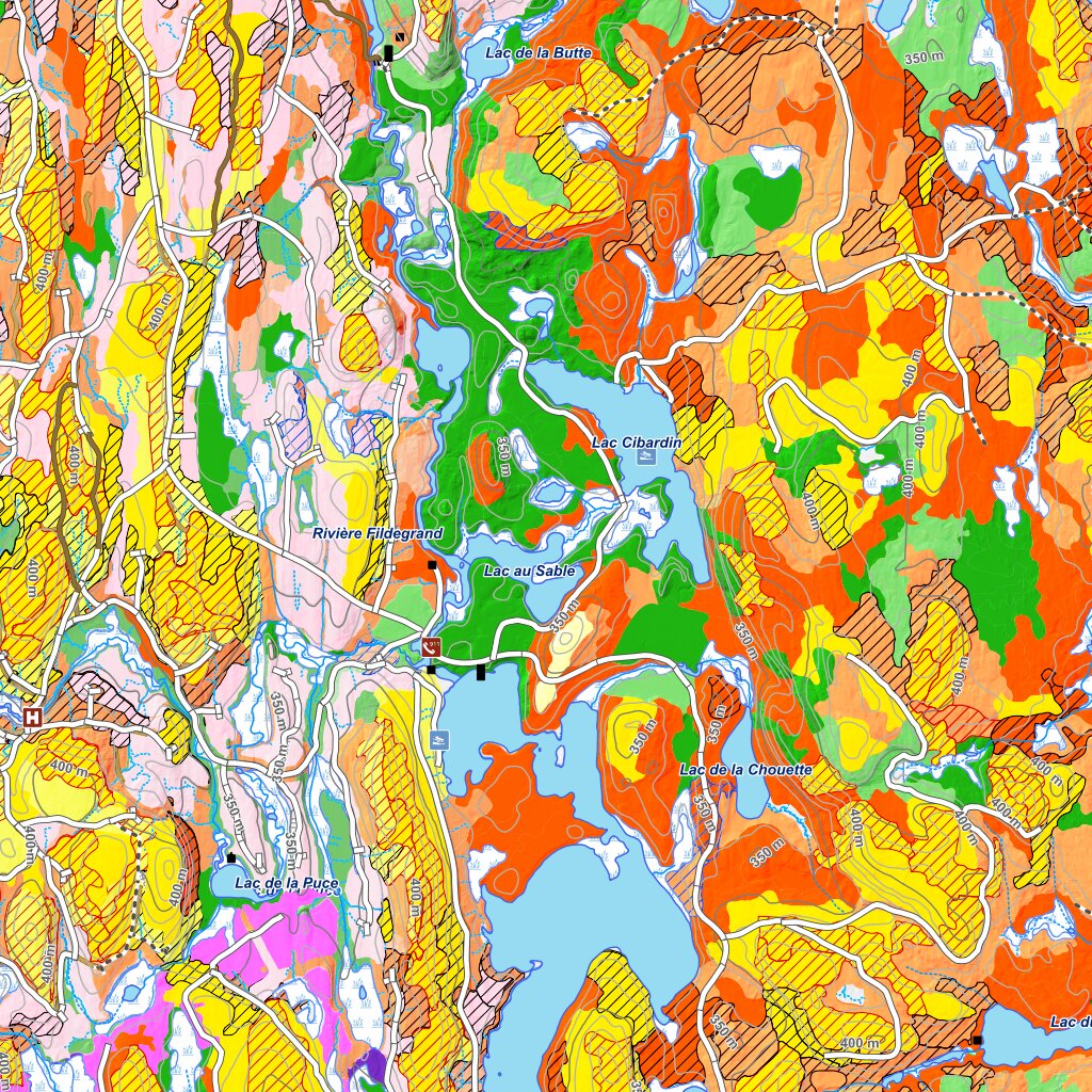 Ifaune Orignal Et Ours Noir Zec Dumoine 2025 Map By Zecs Quebec