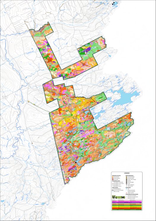 iFaune - Orignal et ours noir - Zec Jaro (2025) Map by Zecs Quebec ...