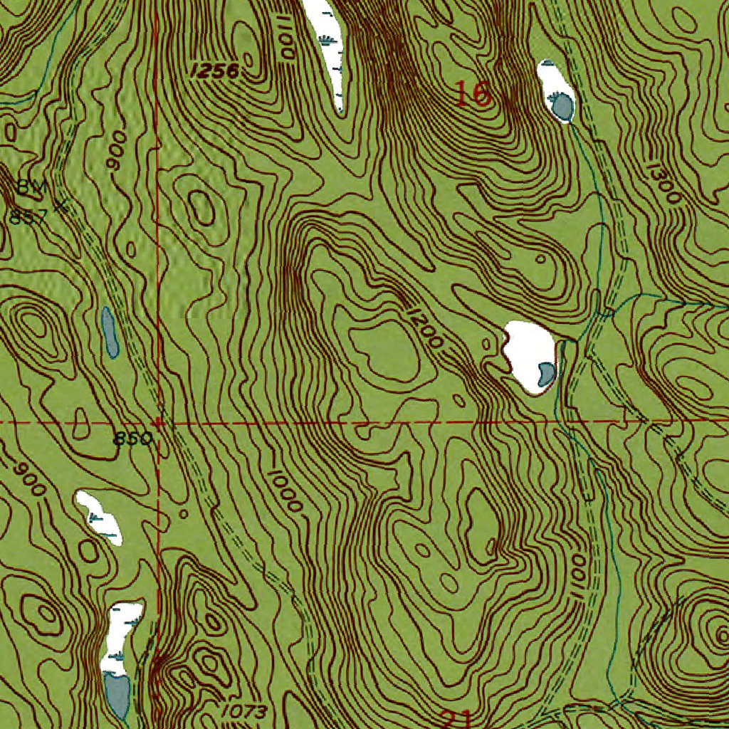WA-Lake Joy: Authoritative US Topos 1993 Map by Western Michigan ...