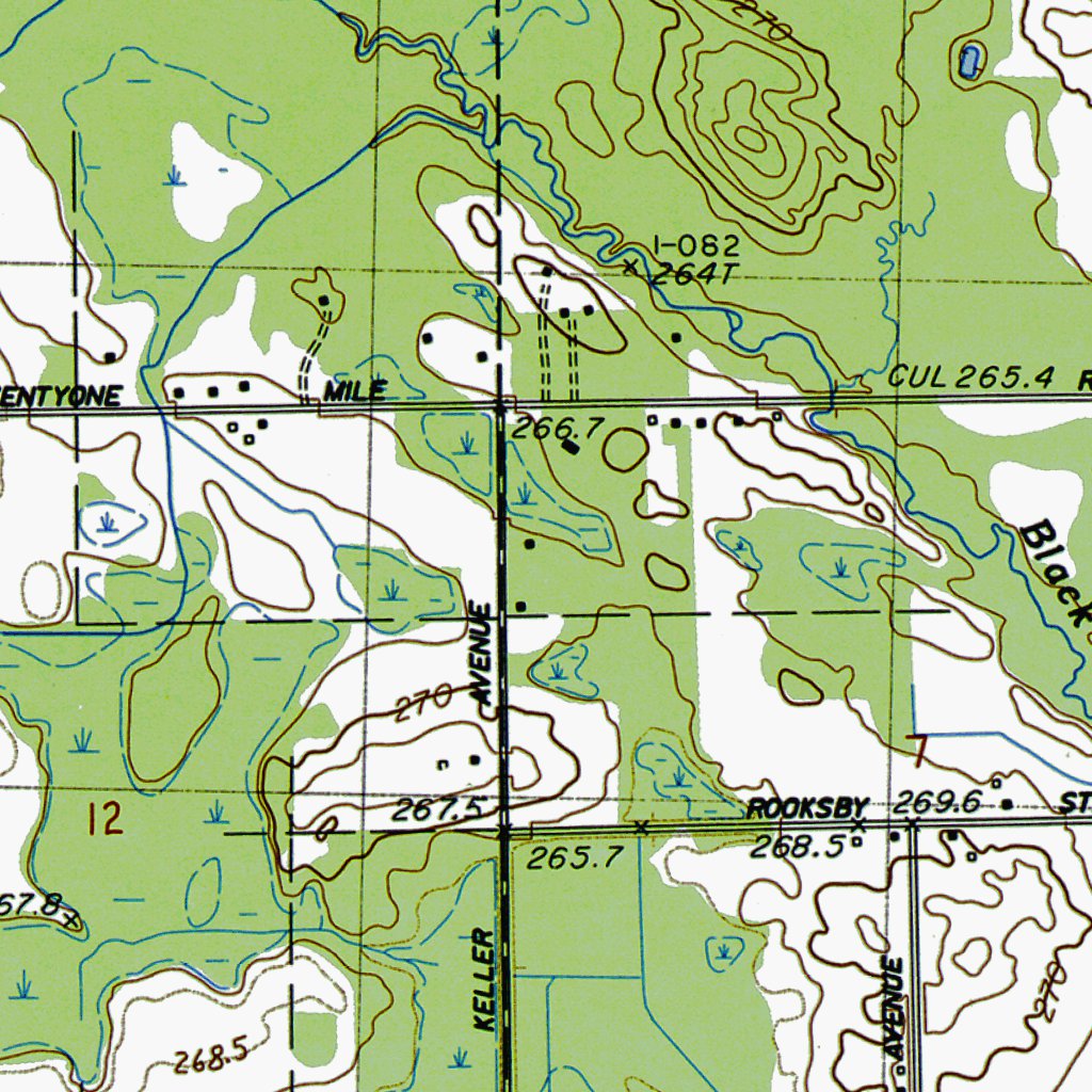 MI-Coral: Authoritative US Topos 1985 Map by Western Michigan ...