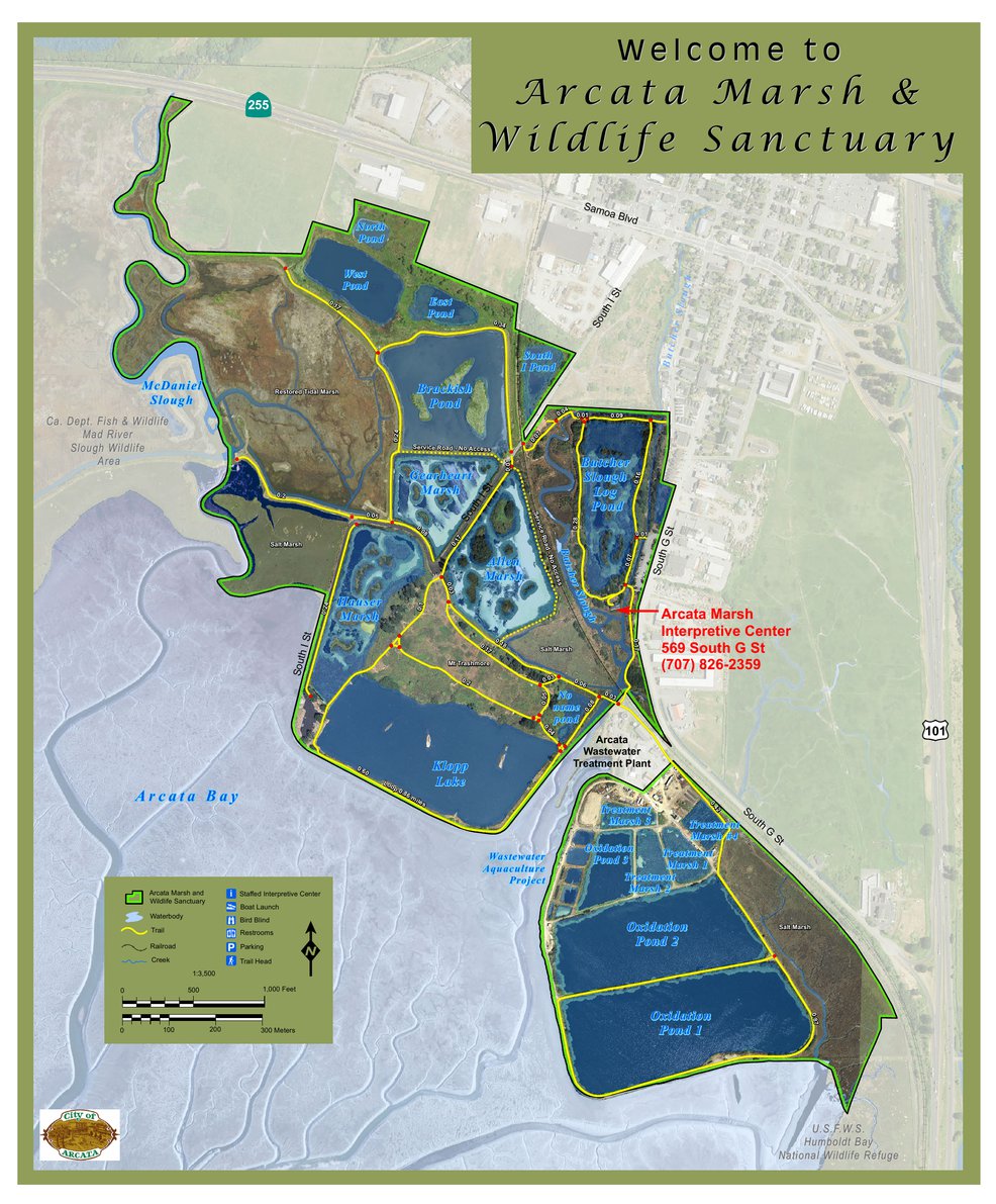 Arcata Marsh & Wildlife Sanctuary Map by City of Arcata | Avenza Maps