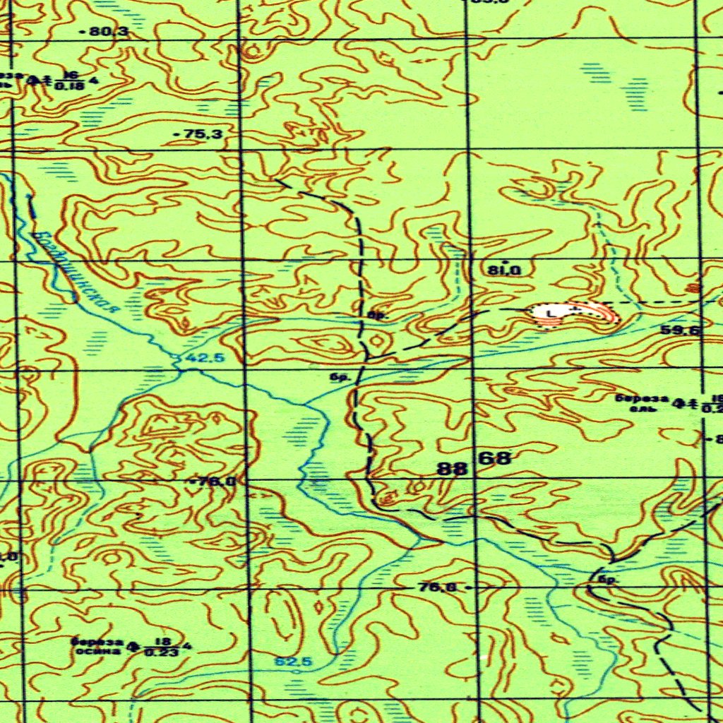 Soviet Genshtab: p42-101-1_2 Map by Avenza Systems Inc. | Avenza Maps