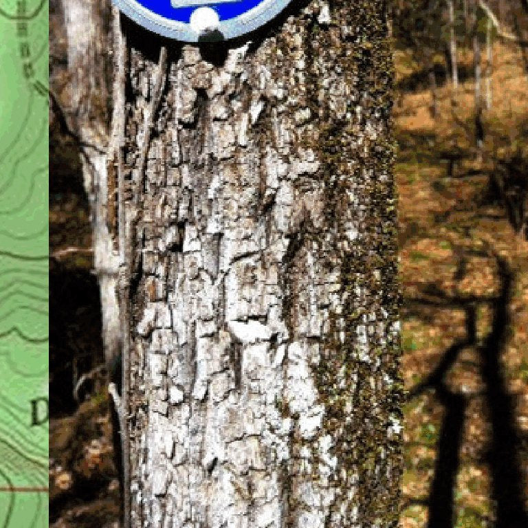 Greenleaf Hiking Trail Map by Sandy Tracks | Avenza Maps