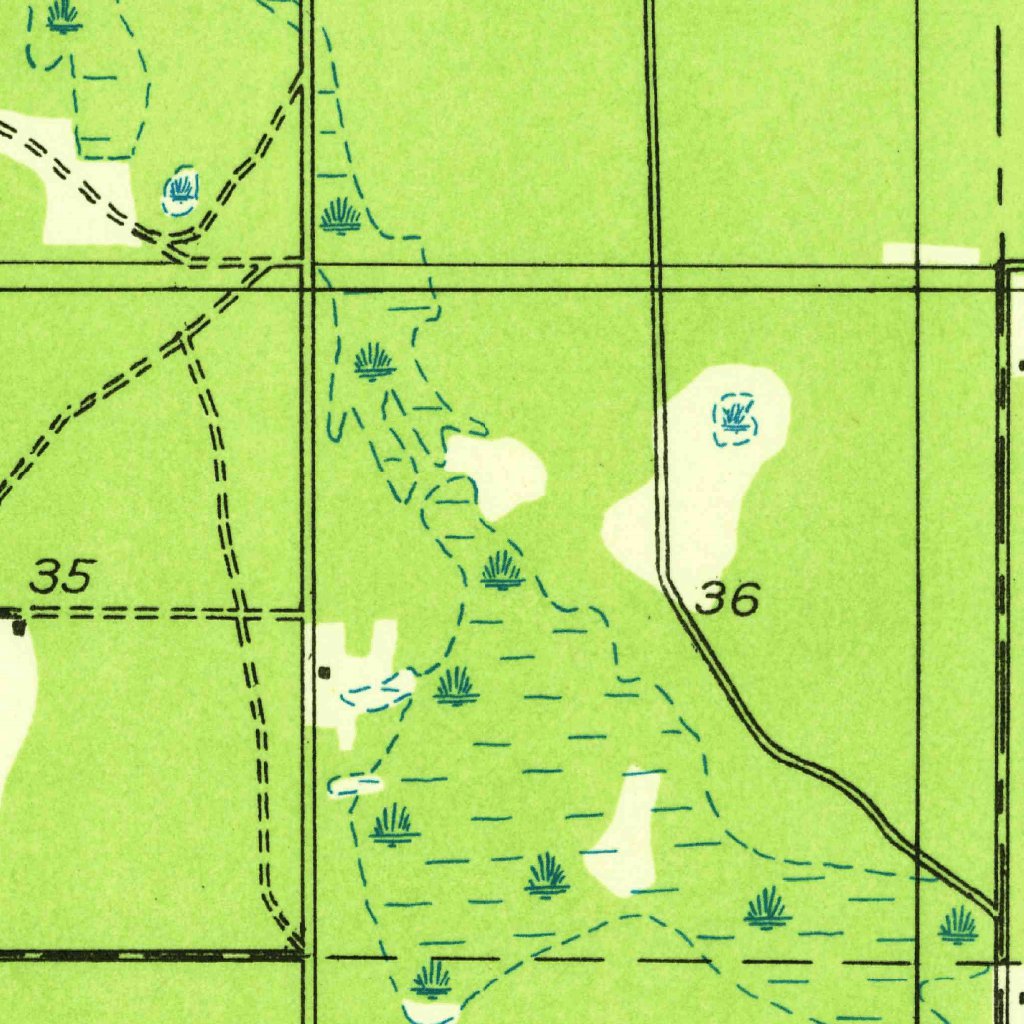 Tallman, MI (1931, 31680-Scale) Map by United States Geological Survey ...