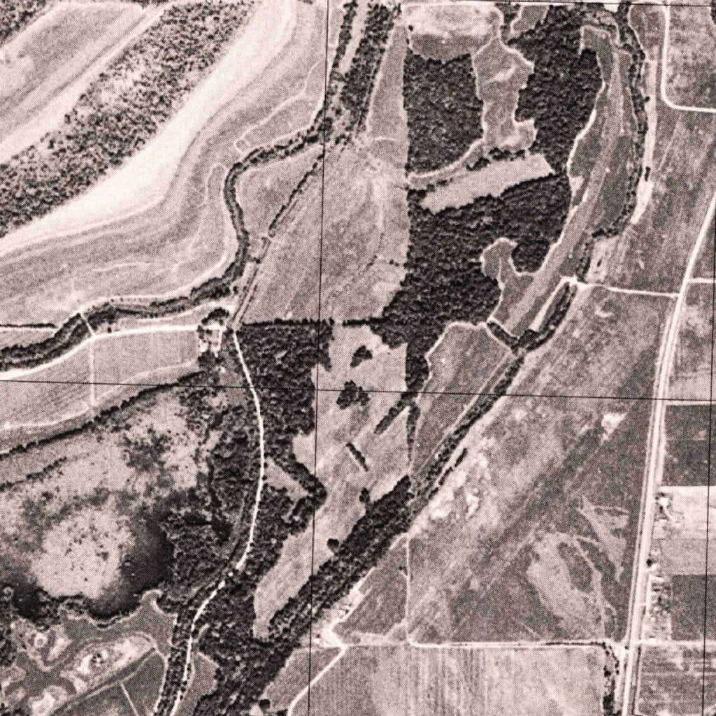 Tippo, MS (1974, 24000-Scale) Map by United States Geological Survey ...