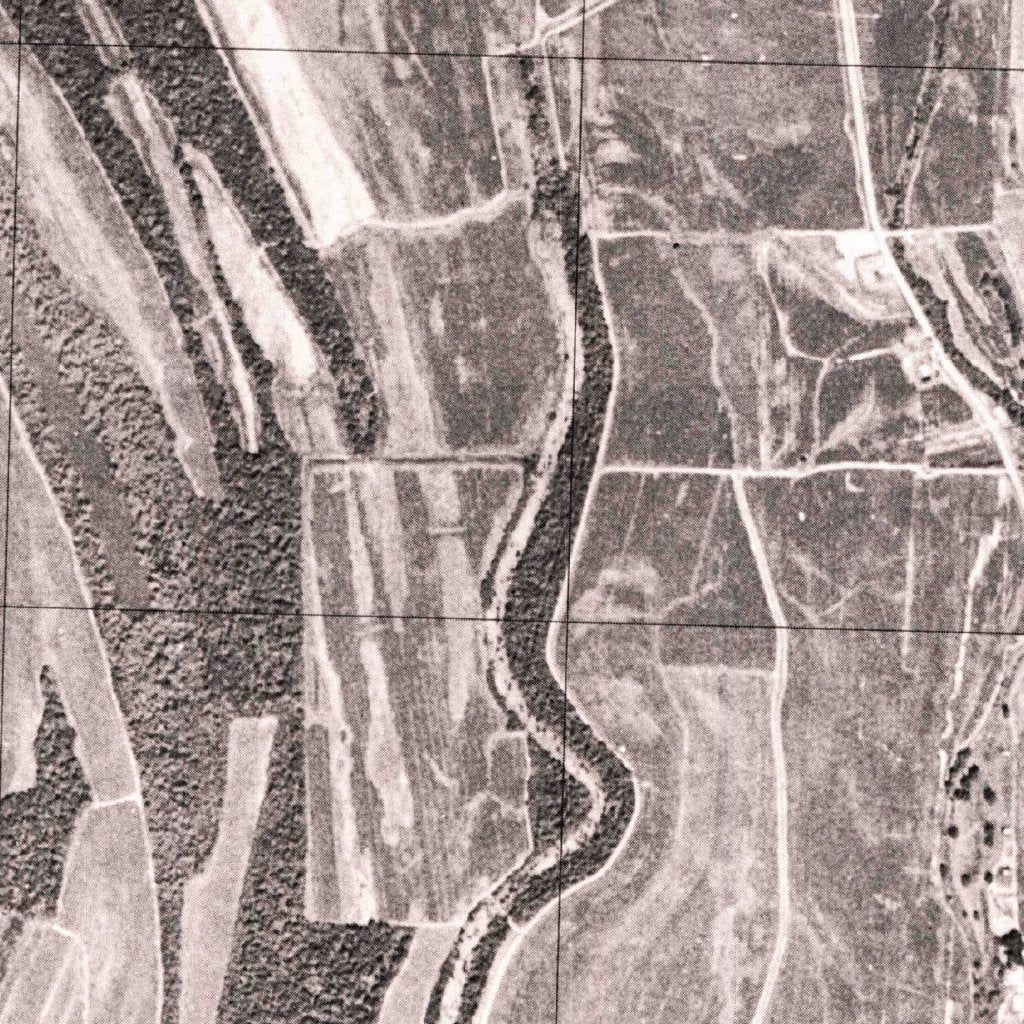 Tippo, MS (1974, 24000-Scale) Map by United States Geological Survey ...