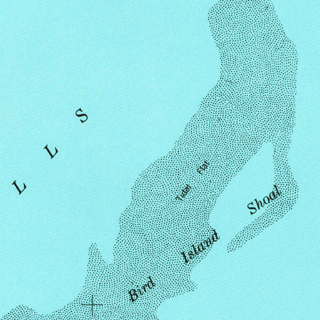 Bull Island, SC (1959, 24000-Scale) Map by United States Geological ...