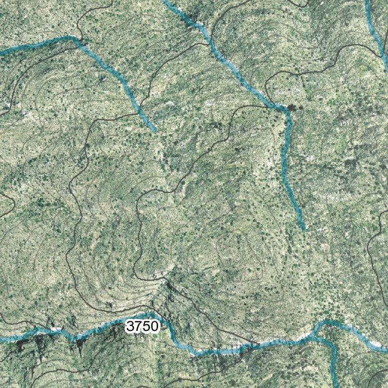 Saguaro National Park Cactus Forest With Imagery Map by Saguaro ...