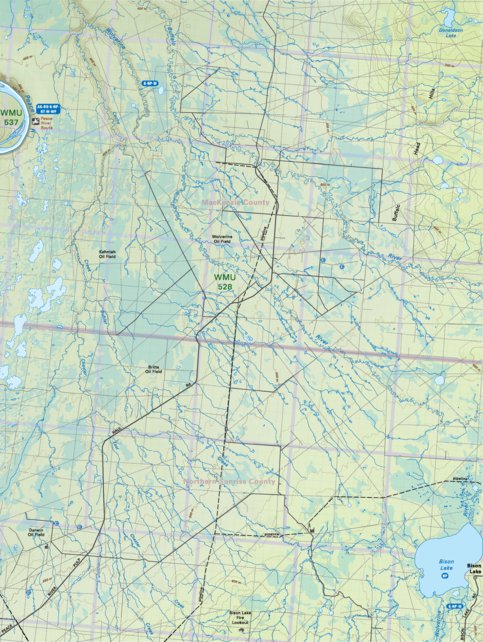 NOAB75 Bison Lake - Northern Alberta Topo Map by Backroad Mapbooks ...