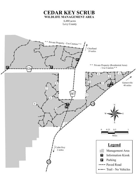 Cedar Key Scrub WMA Brochure Map by Florida Fish and Wildlife ...