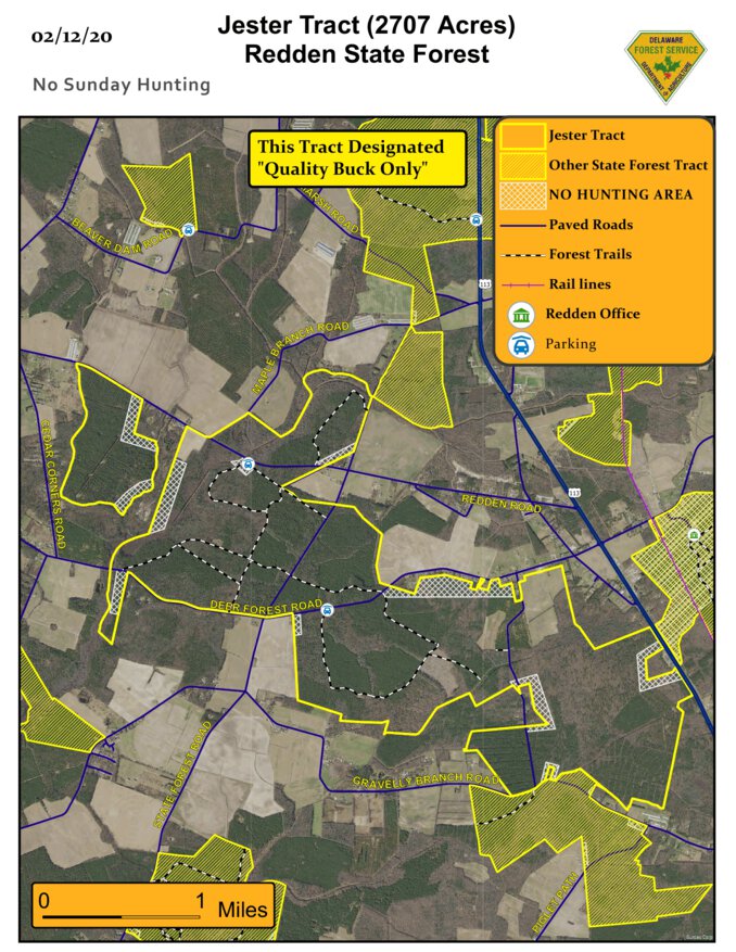 Delaware Forest Serv, Redden State Forest, Jester Tract Map by Delaware ...
