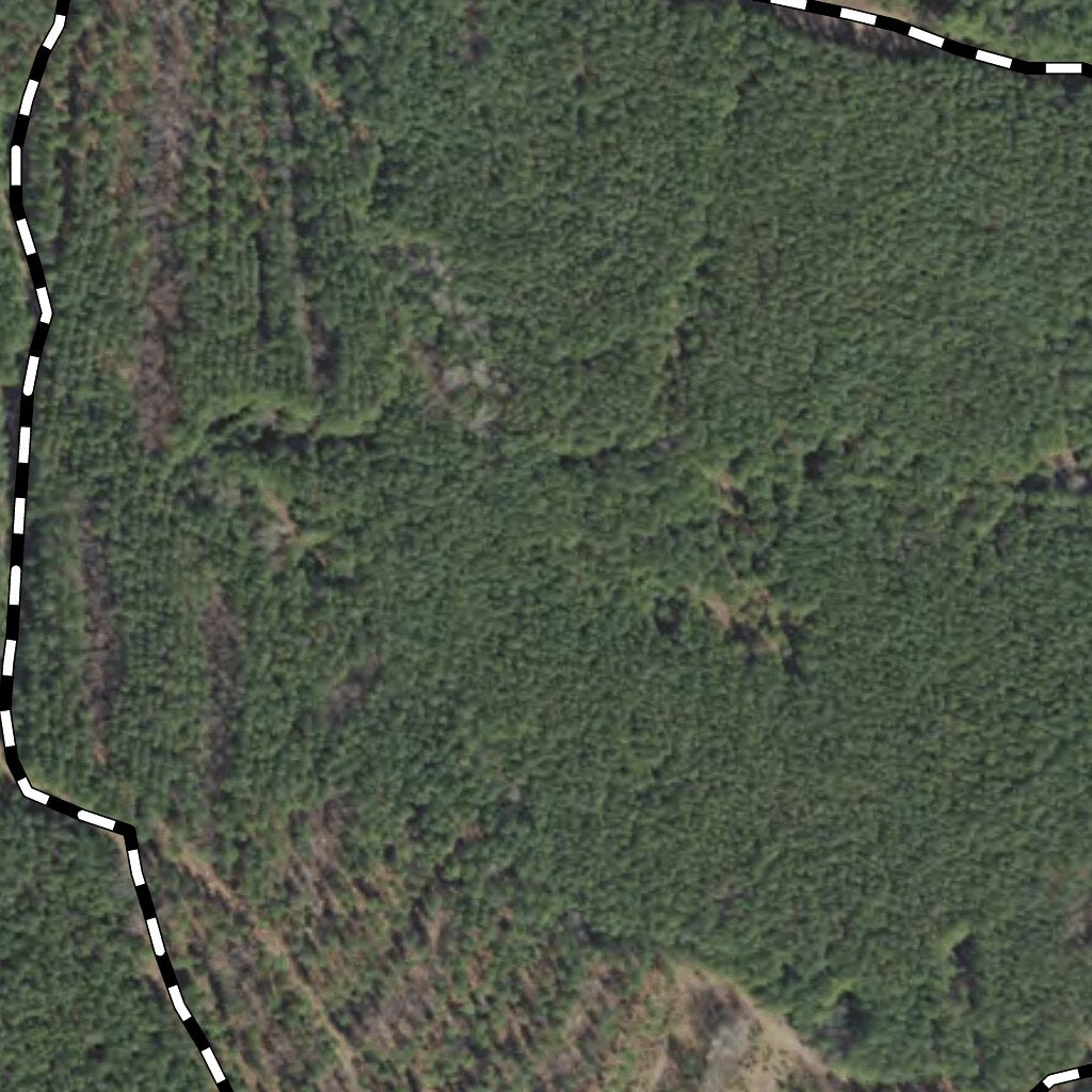 Delaware Forest Serv, Redden State Forest, Long tract Map by Delaware ...