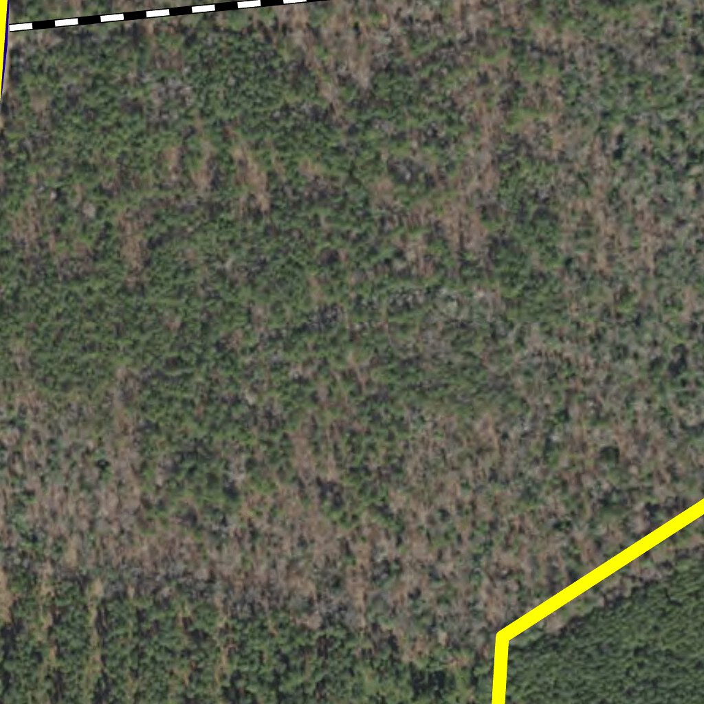 Delaware Forest Serv, Redden State Forest, Marvel tract Map by Delaware ...