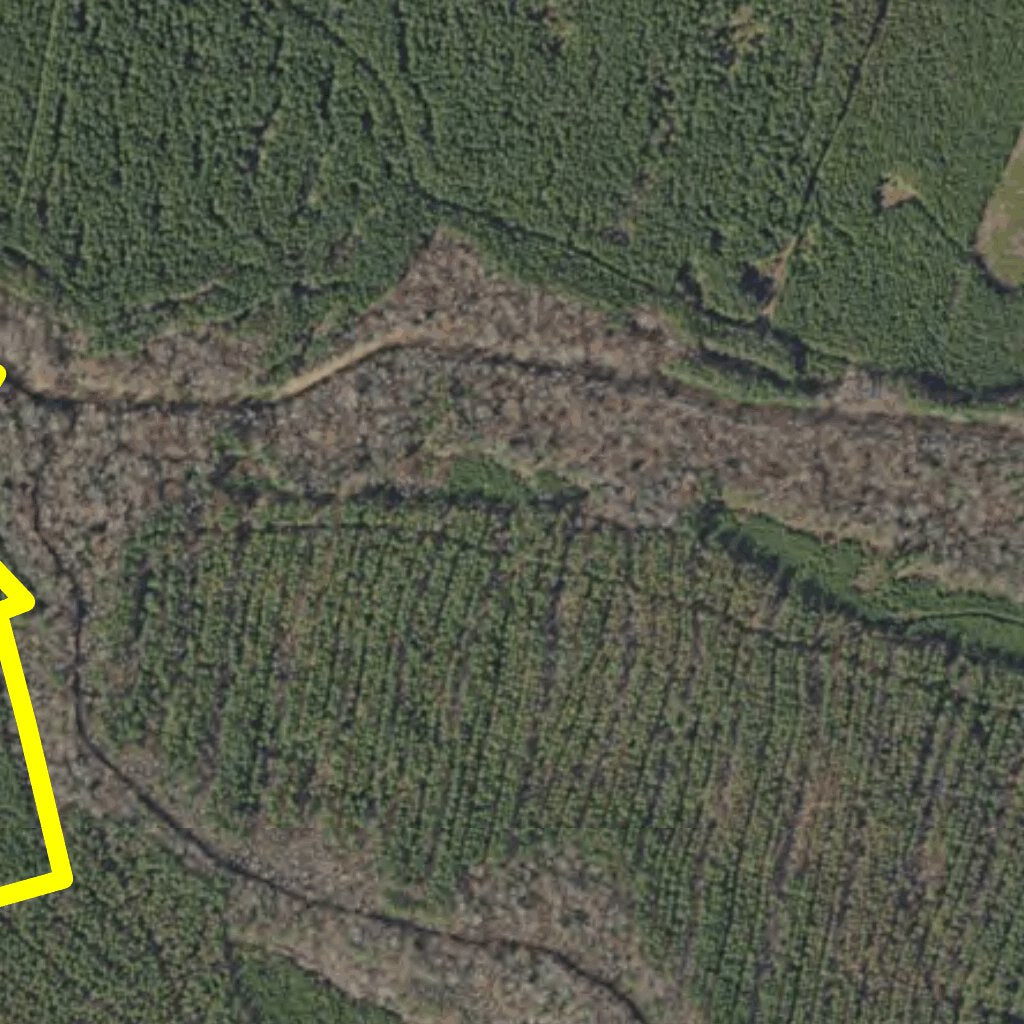 Delaware Forest Serv, Redden State Forest, Tunnell tract Map by ...