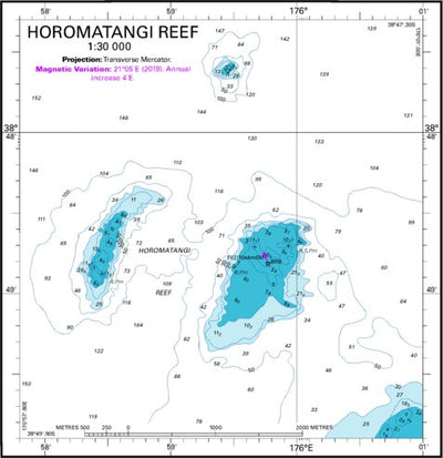 Horomatangi Reef Map by Land Information New Zealand | Avenza Maps