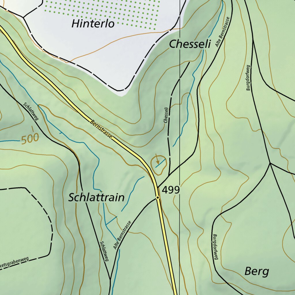 Rapperswil, 1:10,000 map by SwissTopo | Avenza Maps
