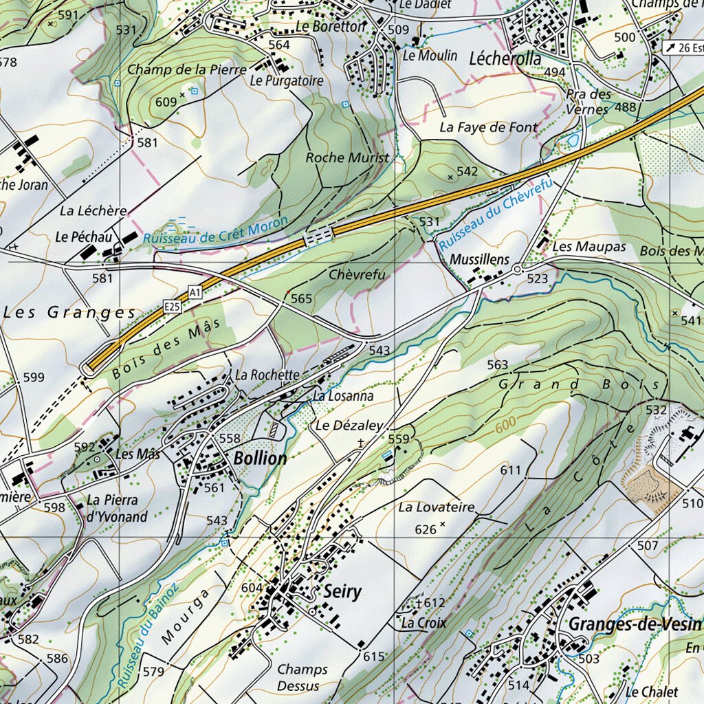 Payerne, 1:25,000 Map by SwissTopo | Avenza Maps