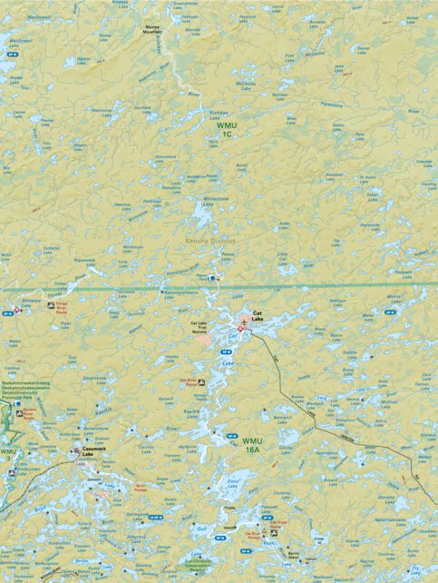 NWON76 Cat Lake - Northwestern Ontario Topo Map by Backroad Mapbooks ...