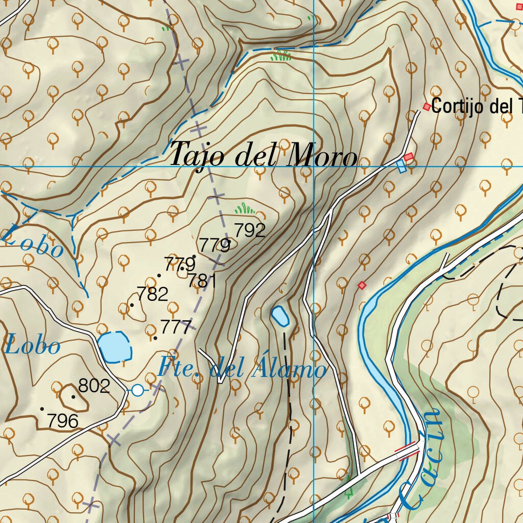 Castillo de Tajarja (1025-2) Map by Instituto Geografico Nacional de ...