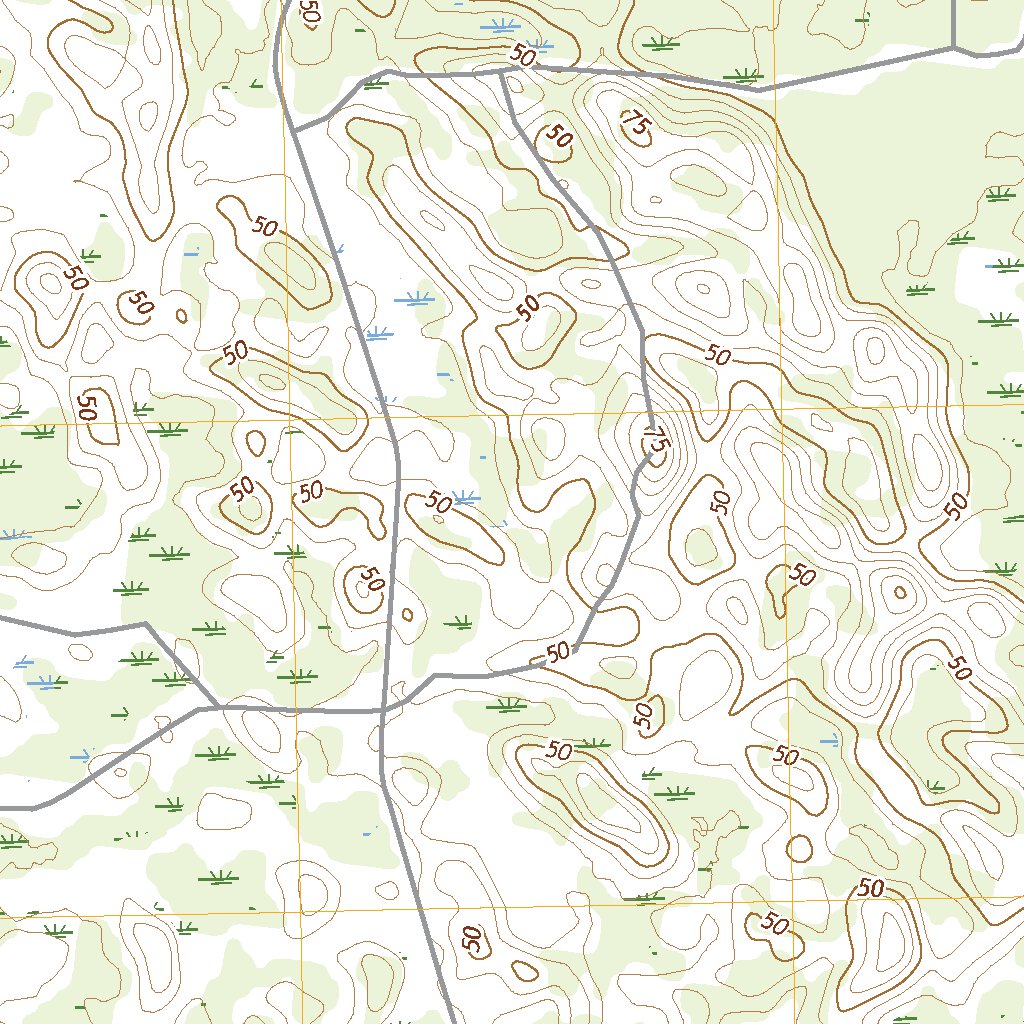 Salem, FL (2021, 24000-Scale) Map by United States Geological Survey ...