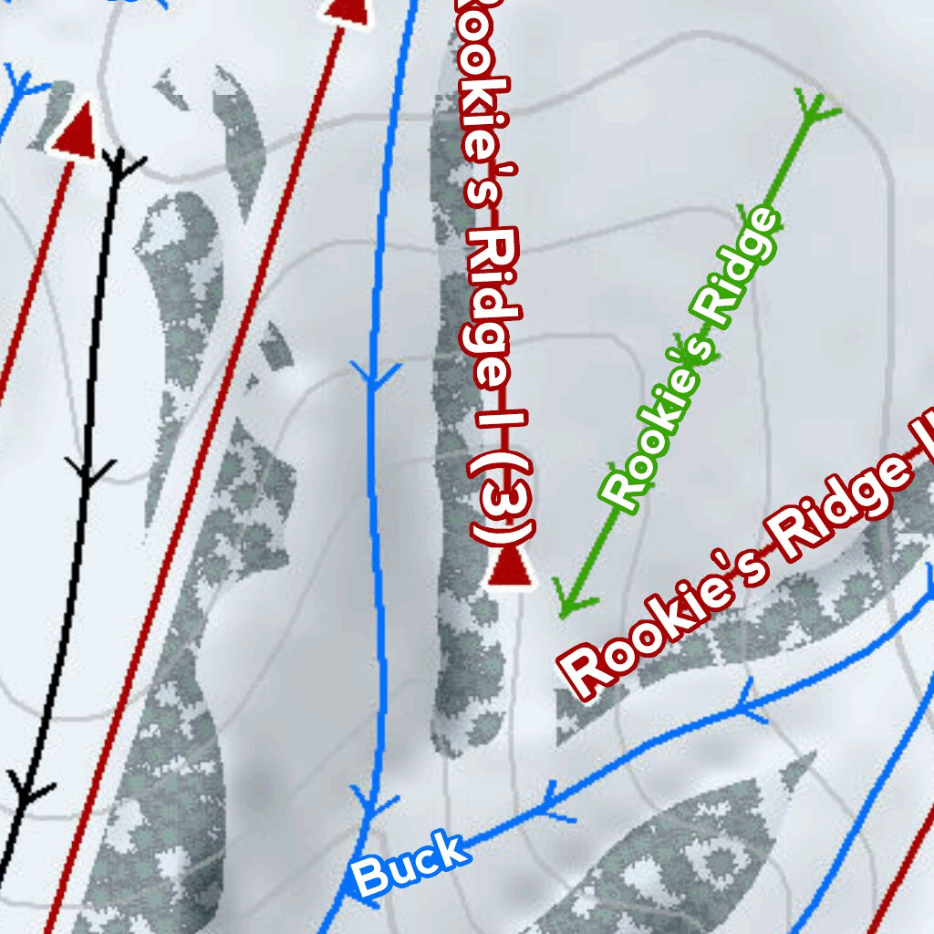 Chestnut Mountain Resort Map by Mapsynergy | Avenza Maps