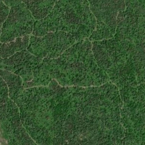 Nipigon Street and Business Map by GH Services | Avenza Maps