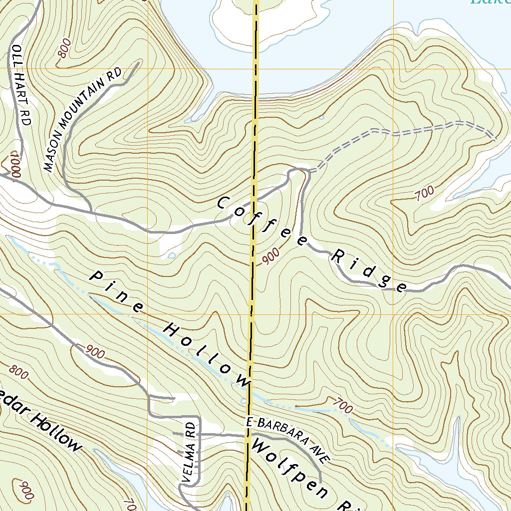 Protem, MO (2021, 24000-Scale) Map by United States Geological Survey ...