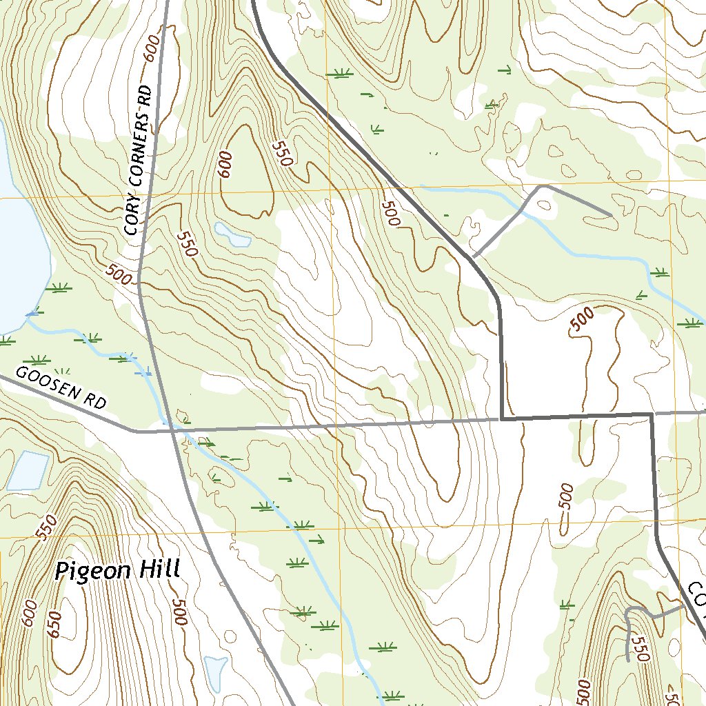 Williamson, NY (2019, 24000-Scale) Map by United States Geological ...