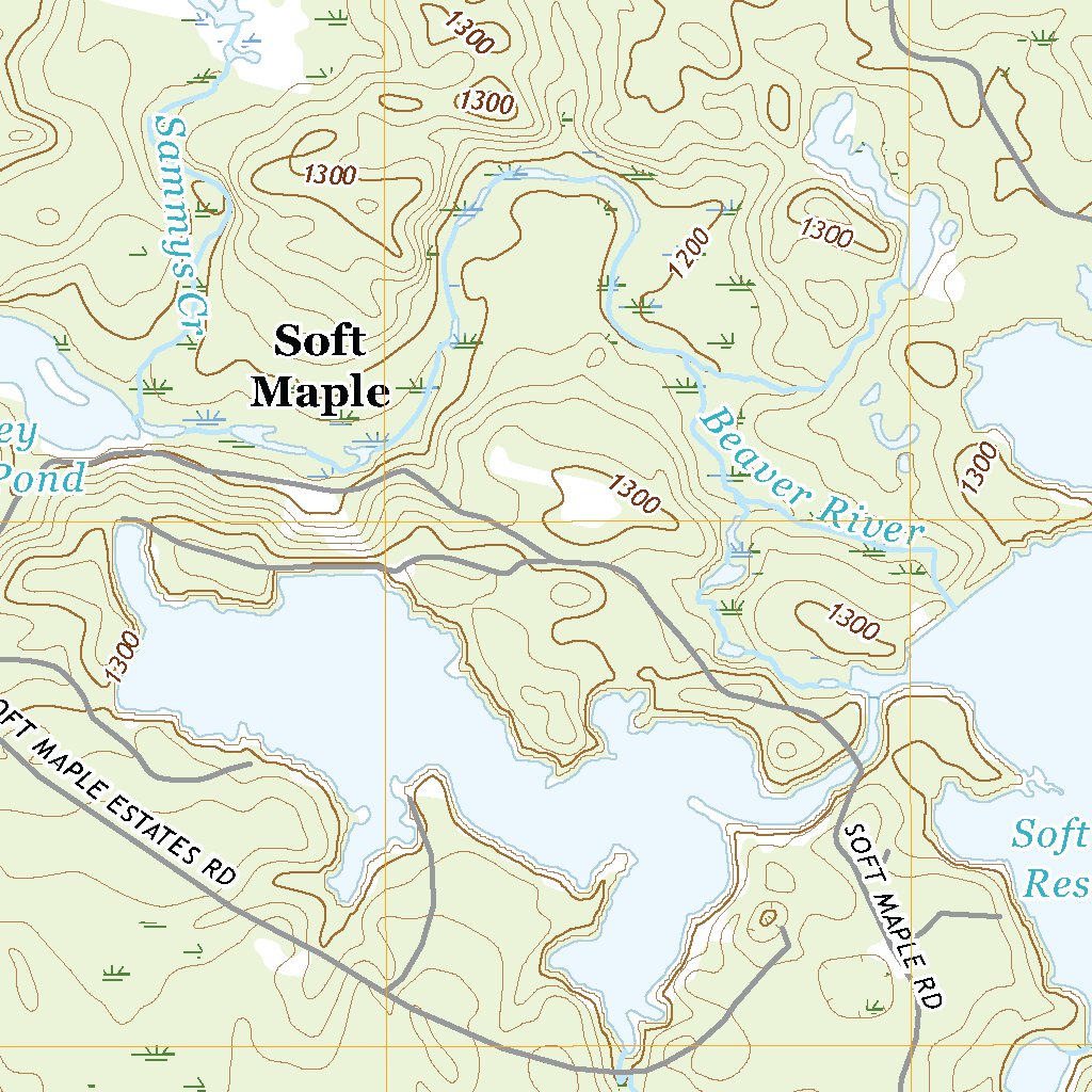 Soft Maple Reservoir, NY (2019, 24000-Scale) Map by United States ...