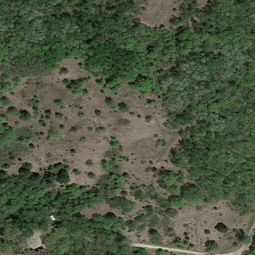 Willow 2022 Early Map by Swenka Maps | Avenza Maps