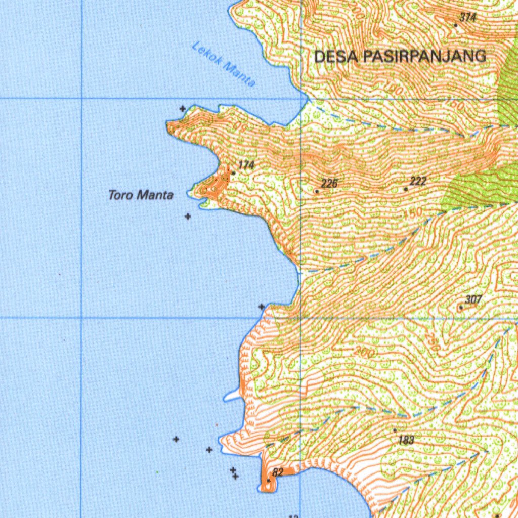 Toro Manta (2007-313) Map by Badan Informasi Geospasial | Avenza Maps