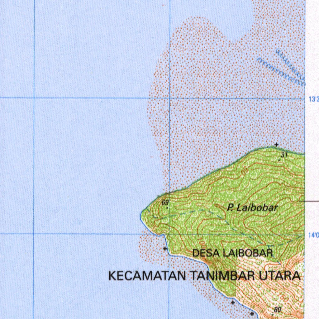 P. Tual (2808-541) Map by Badan Informasi Geospasial | Avenza Maps