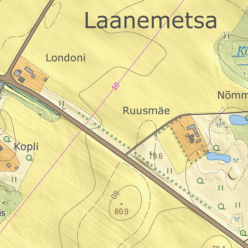 Laanemetsa küla, Valga vald (1) Map by Maa-amet | Avenza Maps