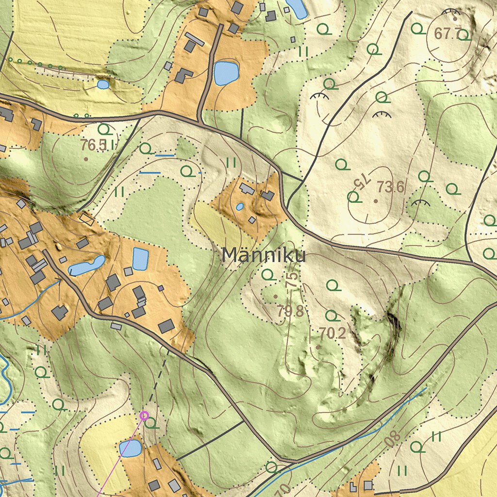 Lalli küla, Kambja vald Map by Maa-amet | Avenza Maps