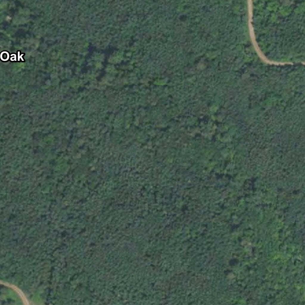 Camp Ripley RGMA East Unit HWT 2022 Map by Minnesota Department of Natural Resources | Avenza Maps