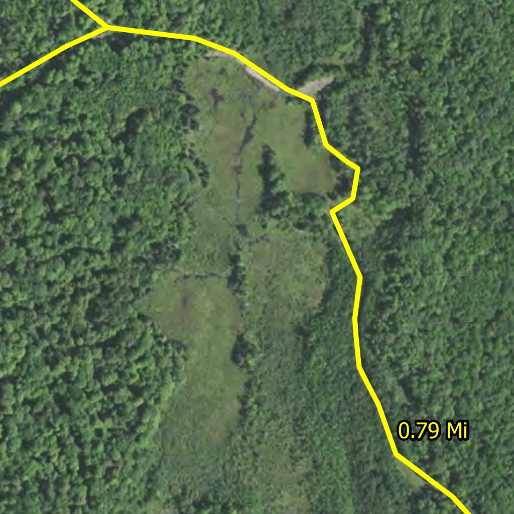 Black Lake Bog HWT 2022 Map by Minnesota Department of Natural ...