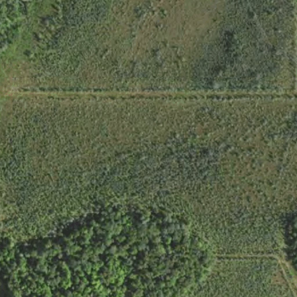 Canosia WMA (North) HWT 2022 Map by Minnesota Department of Natural ...