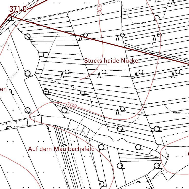 Berg 6 (1:5,000) Map by Landesamt fur Vermessung und ...